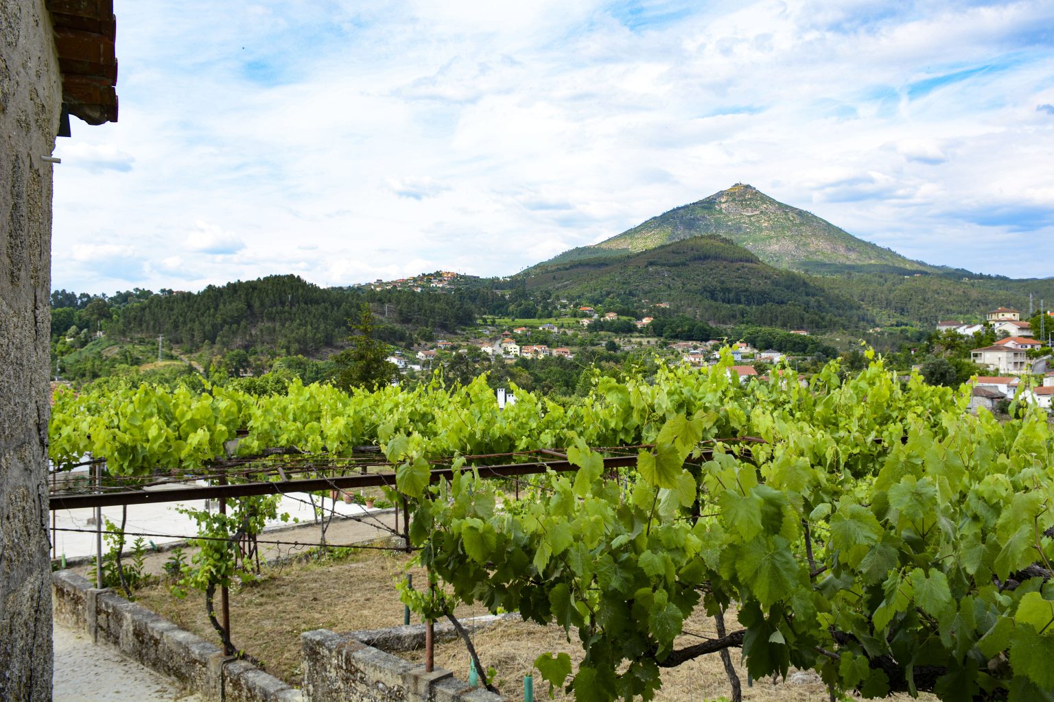 The Farm – Quinta do Fundo